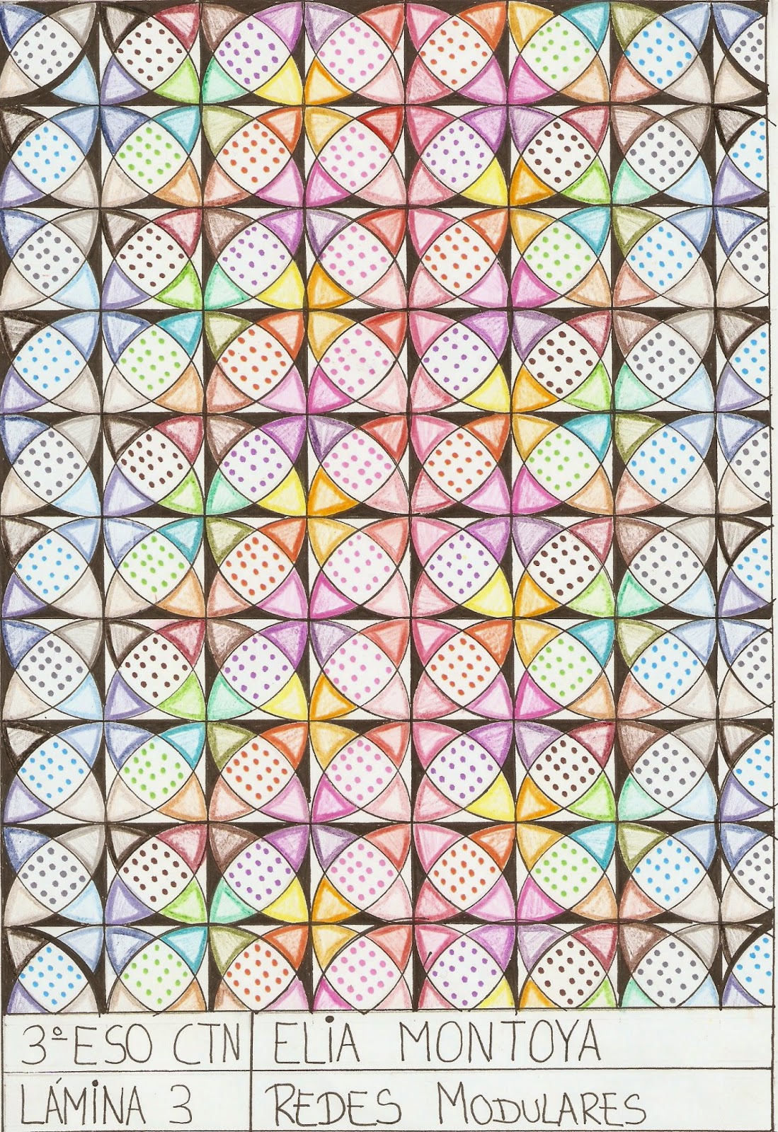 ELIA MONTOYA - EPV: Lámina 3: Redes modulares
