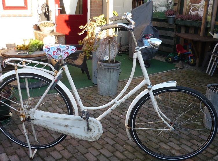 Een Leiderdorper: Stationsfiets