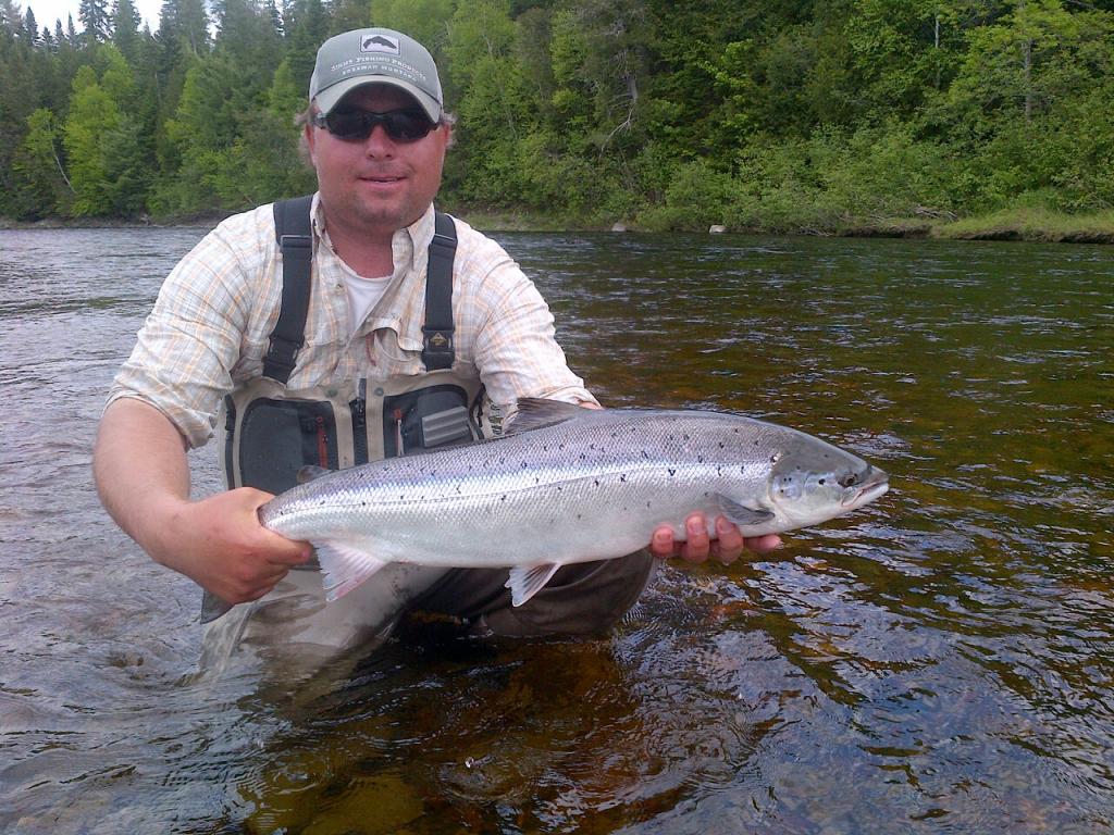 Rod's Miramichi Fishing Reports: Miramichi River Salmon Fishing Improving