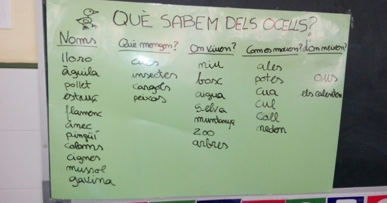 UN MUNDO EN EL AULA DE EDUCACIÓN INFANTIL: Unidad didáctica ''las aves''