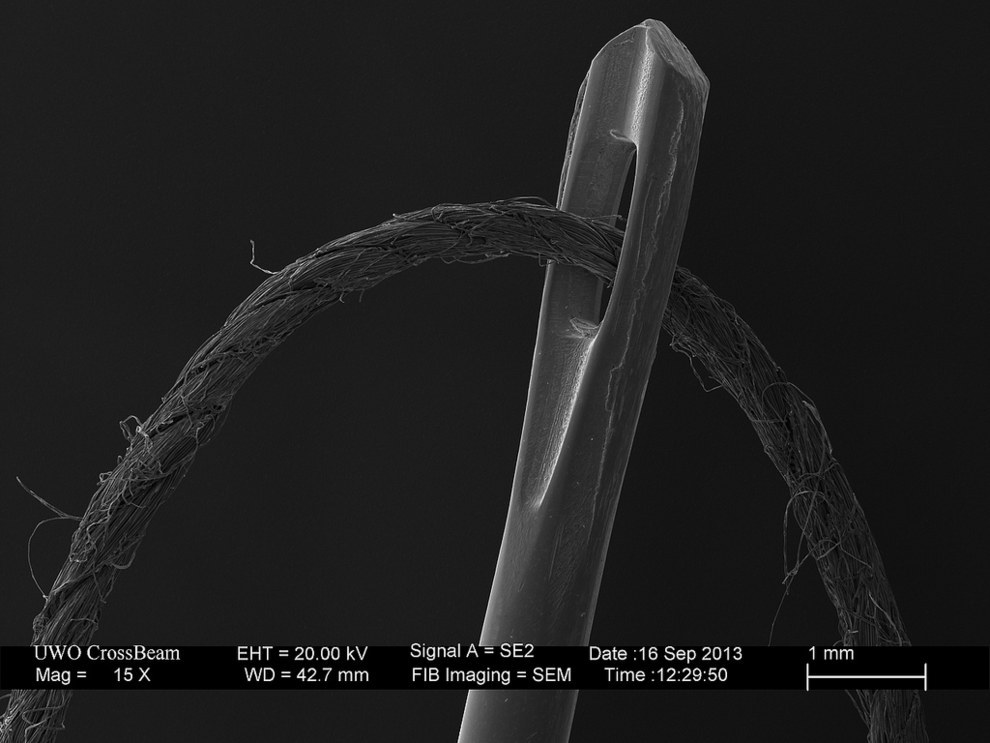 ALL TIME FIVE: FIVE IMAGE THAT WILL SHOCK UNDER MICROSCOPE