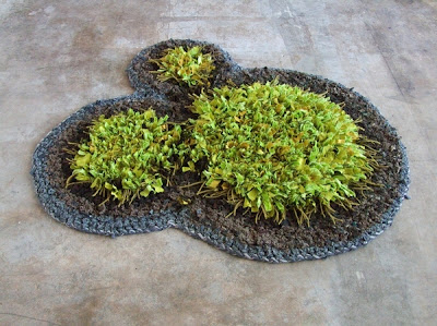 Domythic Bliss: Forest Floor Carpets
