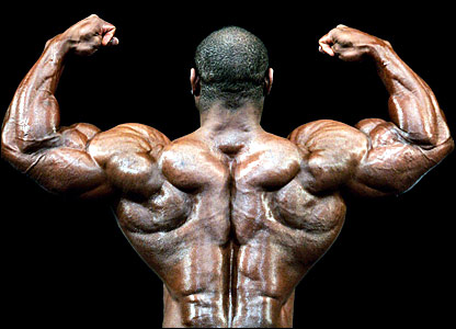 Aleda Costa: Bodybuilder Back Images ...