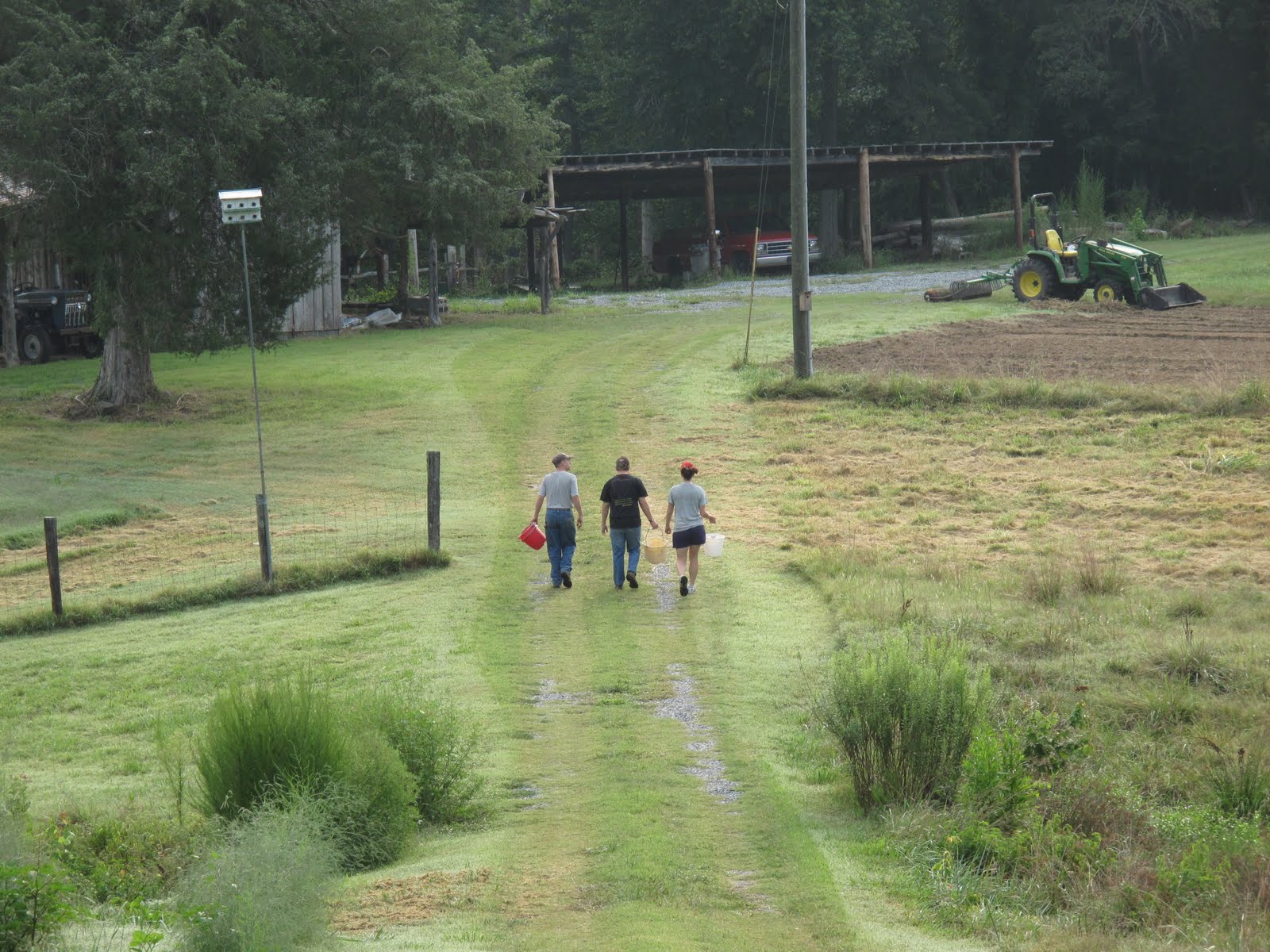 Wings of Dawn Farm: Sowing Oats