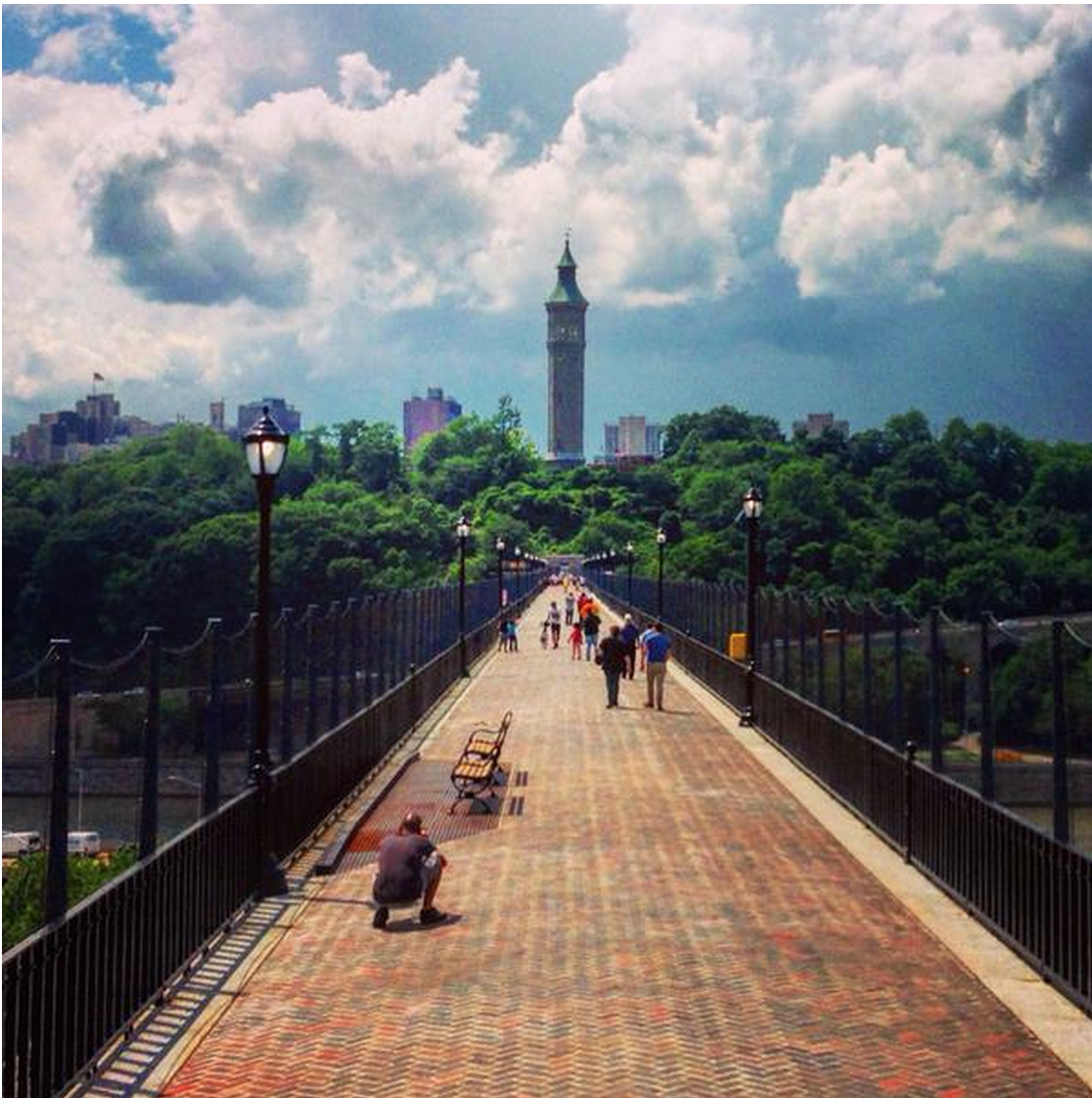 The High Bridge -- Its Past, Present & Future: Celebrating the ...