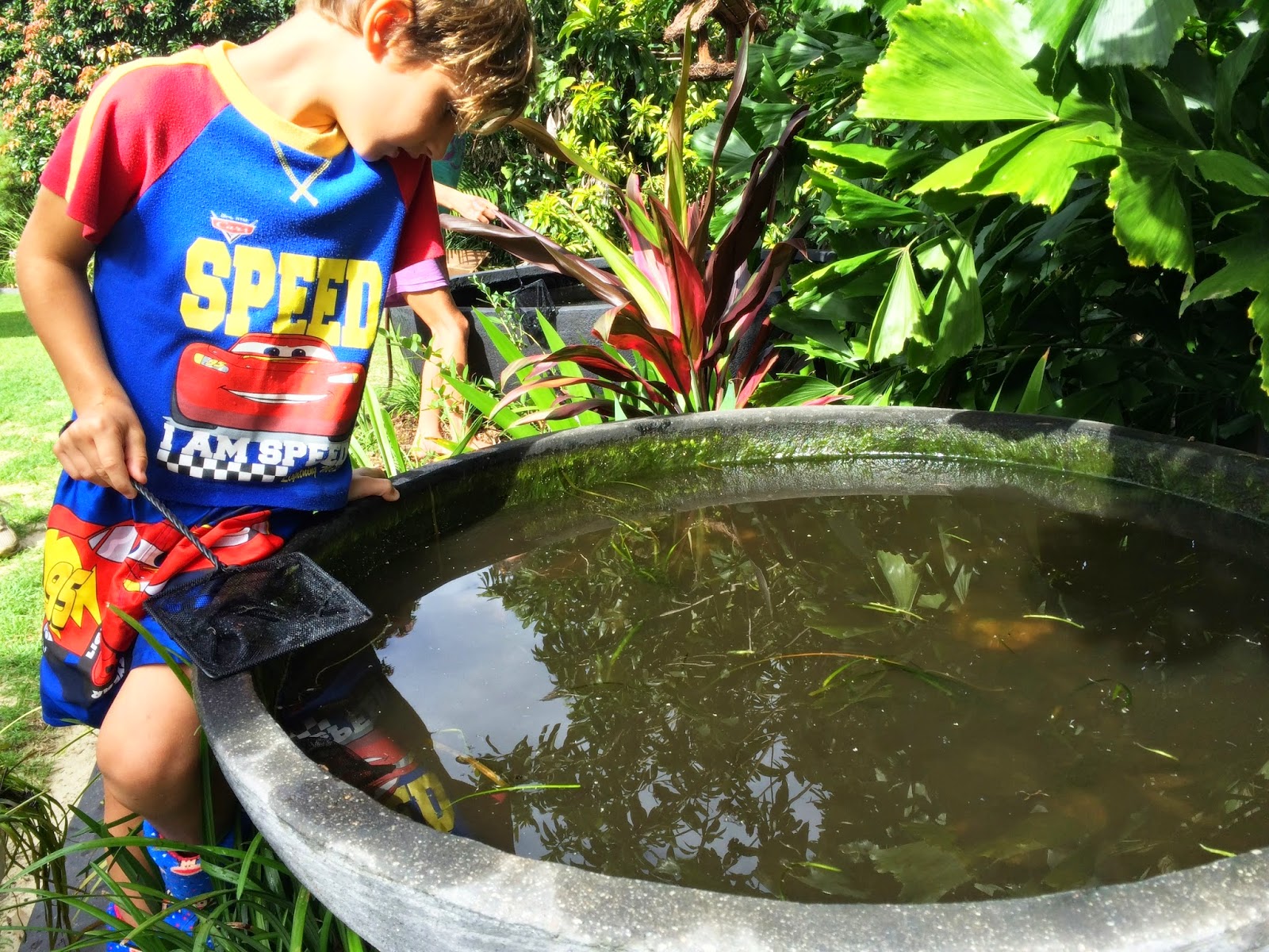Hands On Child Led Backyard Ponding