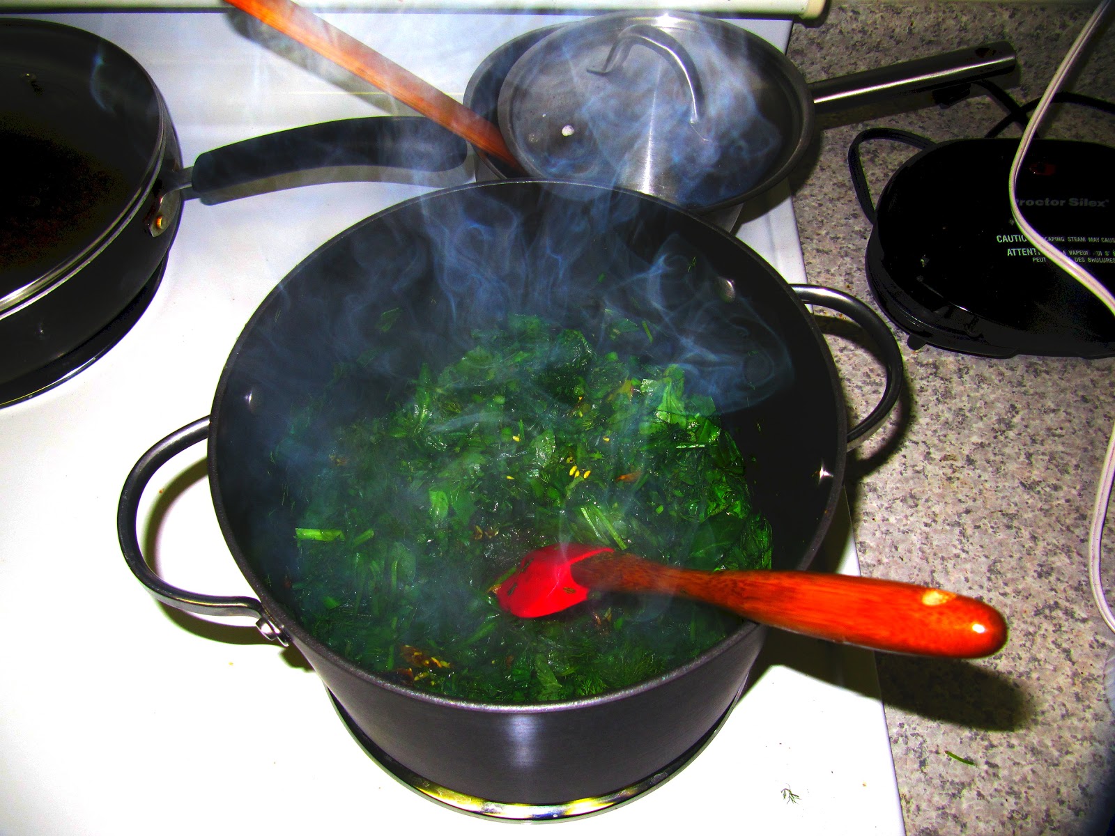 Torshe tareh; North Iranian egg, sour orange and herb stew