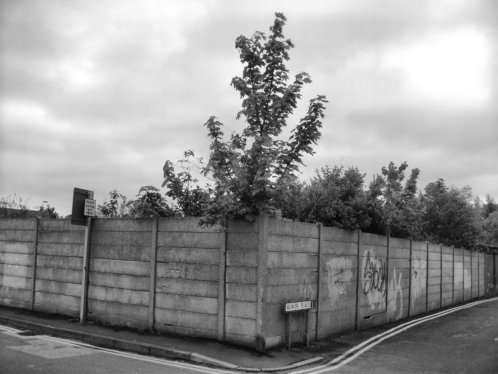 Andrew Lucas Photography