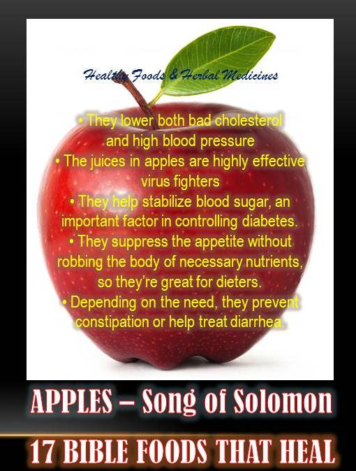 Biblical Meaning Of Green Apple at Hayley Forster blog