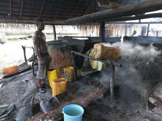 Photos showing how local gin 'Ogogoro' is brewed in Nigeria