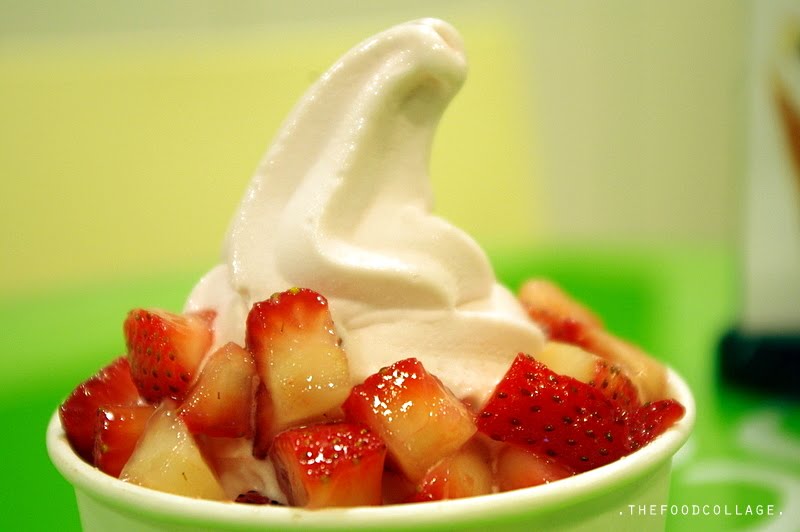 The Food Collage: Yoguru Frozen Yogurt