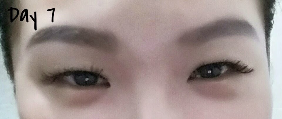 thegirlsinsaneeats: Eyebrow Embroidery Healing Process