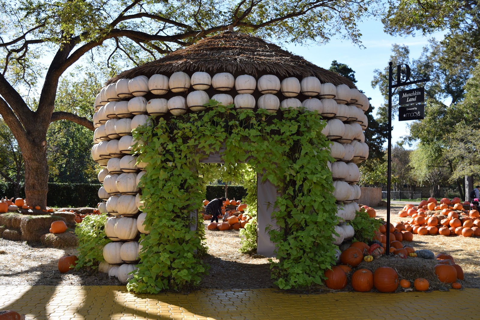Travel for a Purpose: Autumn Colors at Dallas Arboretum Botanical Garden