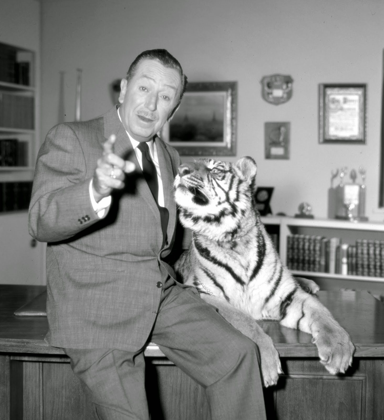 Deja View: Disney Tigers