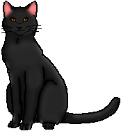 Bugs Blog: Leader Warrior Cats