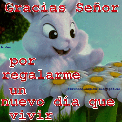 El Mundo de los Gifs: Gracias Señor (ver más...)