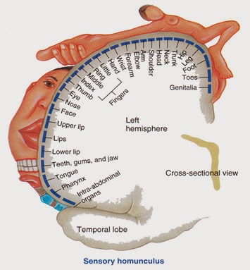 Living in Kellie's World: Foot Orgasm - A Dutch Treat