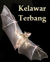 Petak Semai: KELAWAR - KENALI DIA