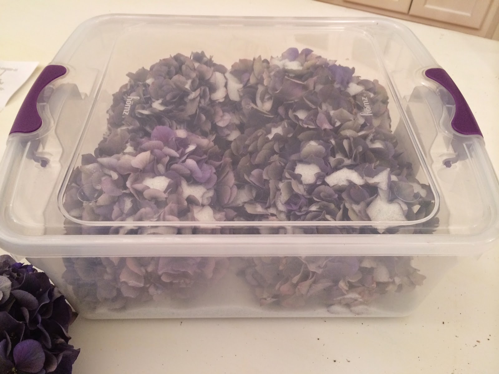 Little Farmstead: The BEST and Easiest Way(s) to Dry Hydrangeas!