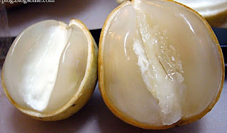 Manfaat Buah Duku untuk Kesehatan