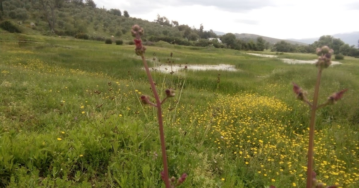 Écosystème (ecosystem) ~ COURS
