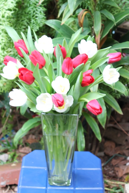 Penyebab Harga bunga Mahal - Toko Bunga | Florist Jakarta | Toko Bunga ...