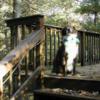 fantasy art and tree chatter of aquariann: Flower Photo: Rest In Peace ...