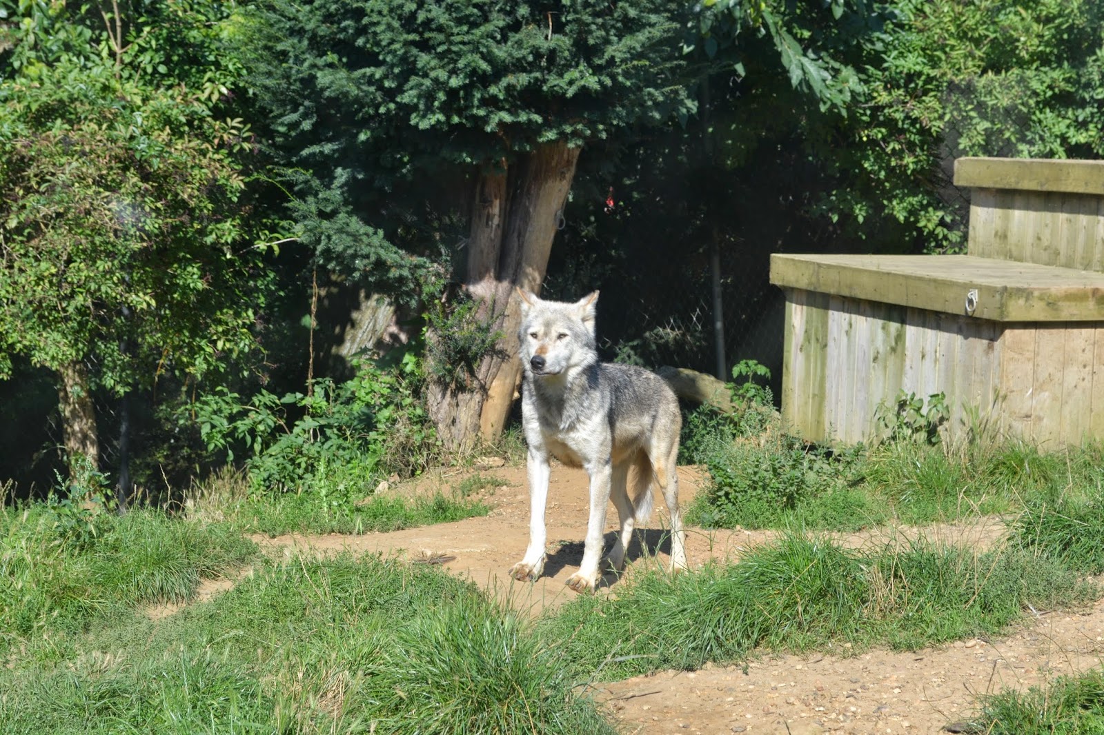 Colchester Zoo Day Out! | UK Lifestyle and Beauty Blog