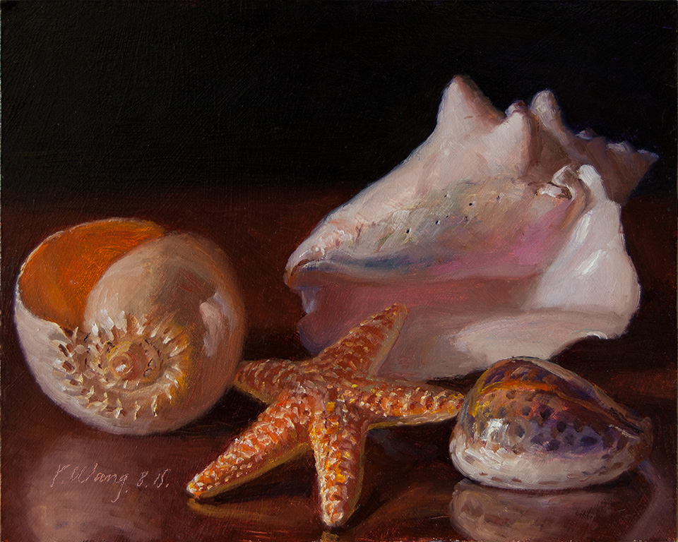 Still Life Photography Shells