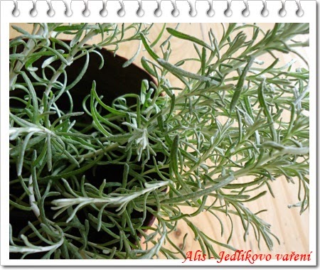 Kari bylinku jsem doma zasadila do záhonku k mým ostatním bylinkám. A ...