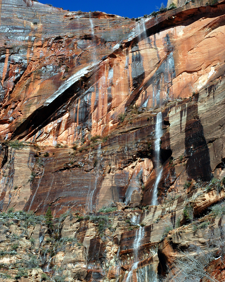 Dave Diegelman: Spring in Zion National Park