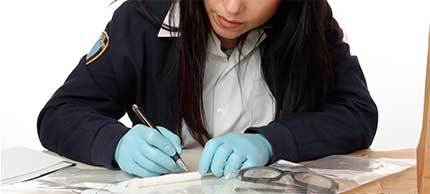 Soy Criminalista : DESAHOGO DE LA PRUEBA PERICIAL