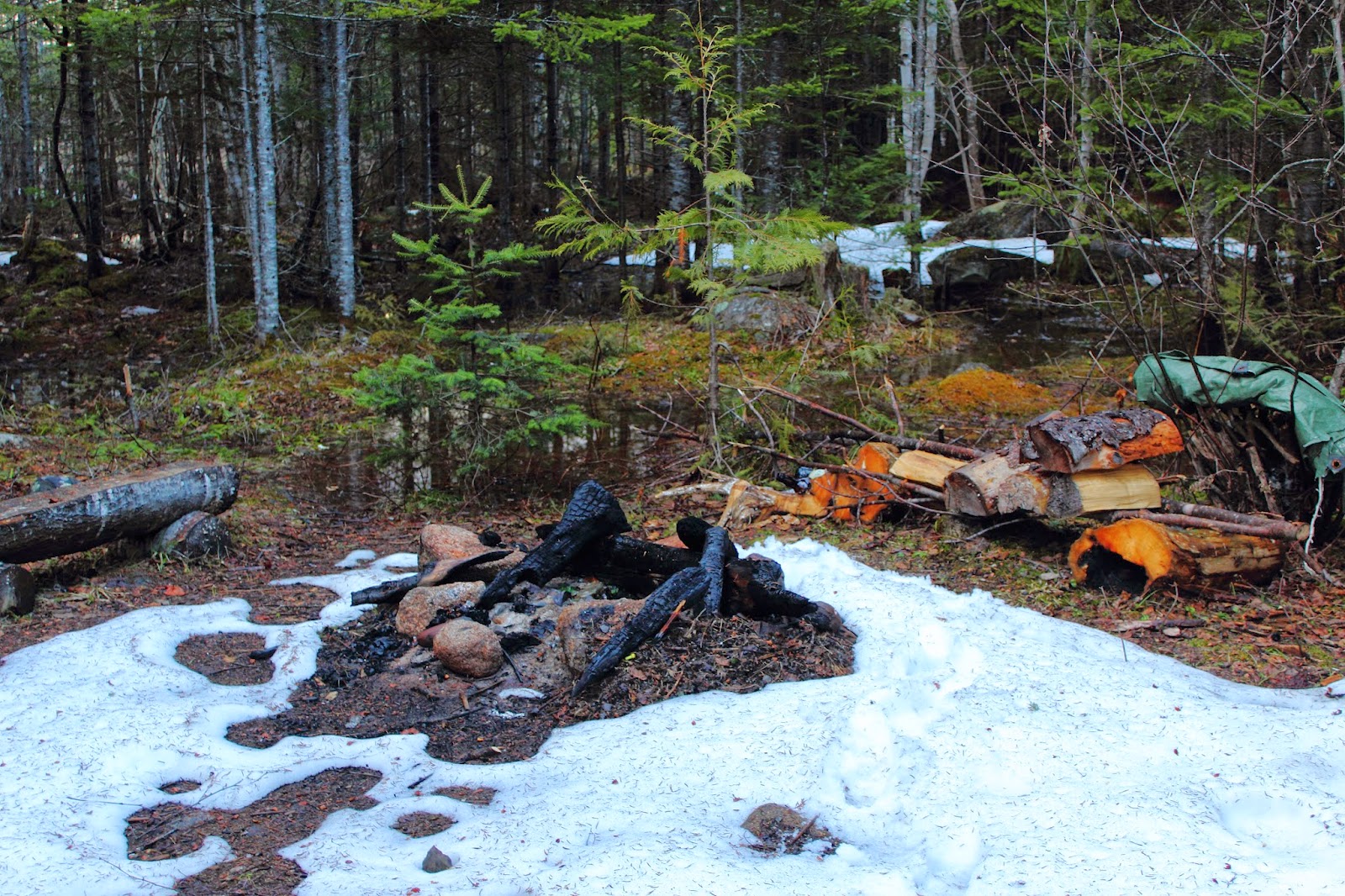 Waterfalls and More: Shogomoc Suspension Bridge