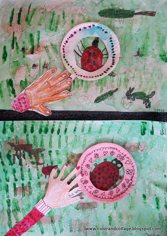 Color, collage, and much more: Magnified Insects