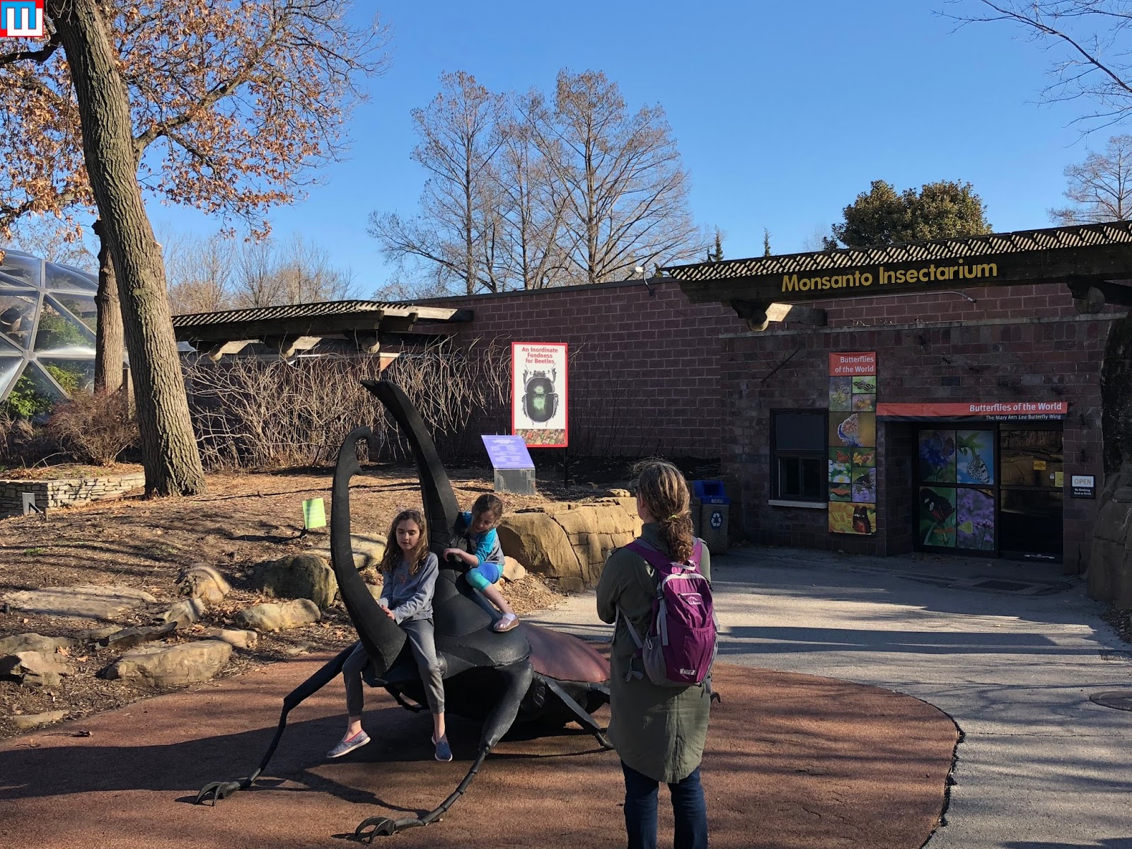MidwestInfoGuide: St. Louis Zoo