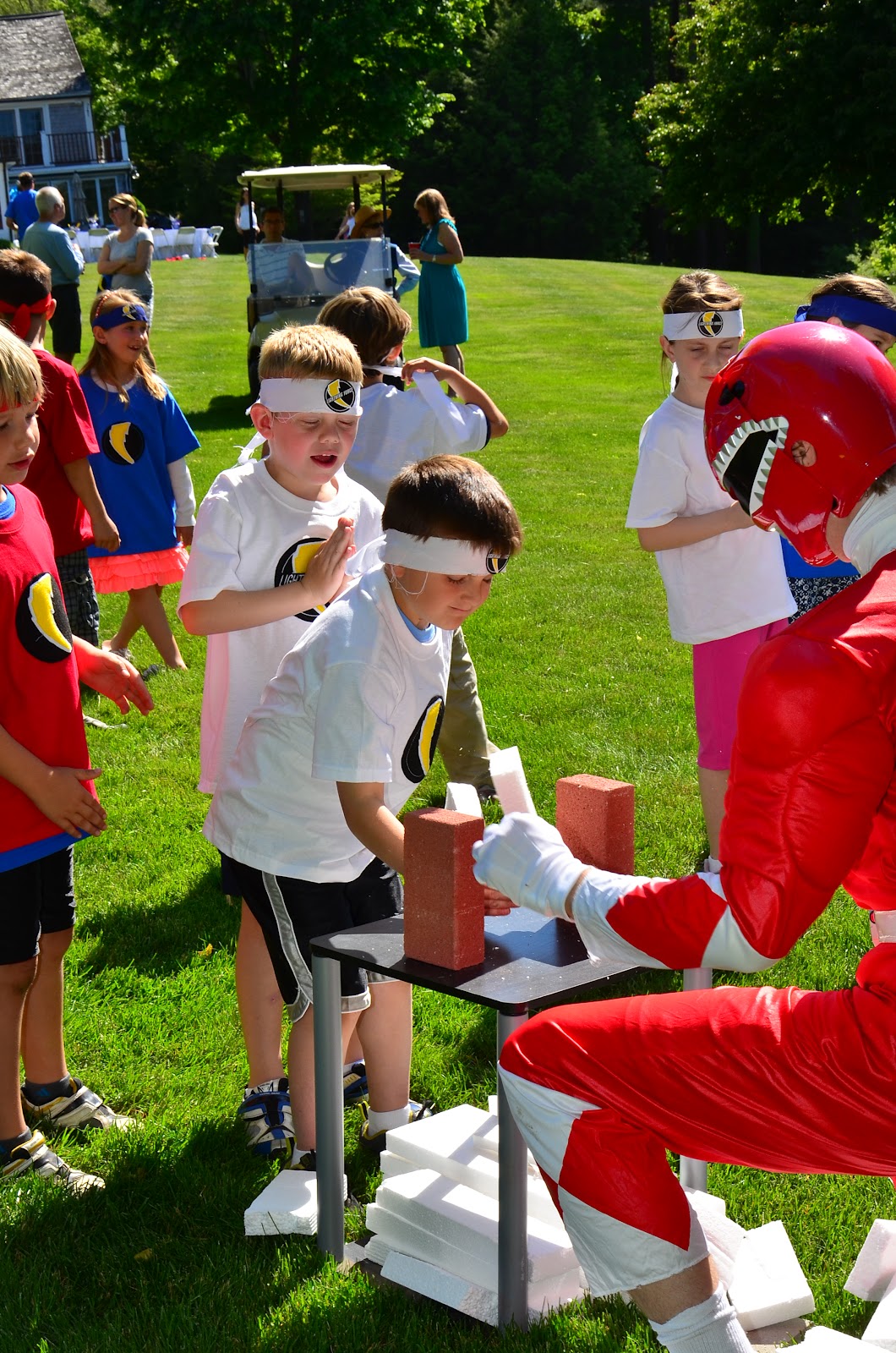 Welcome to Sillyville!!!: "Back to Action Power Rangers!"