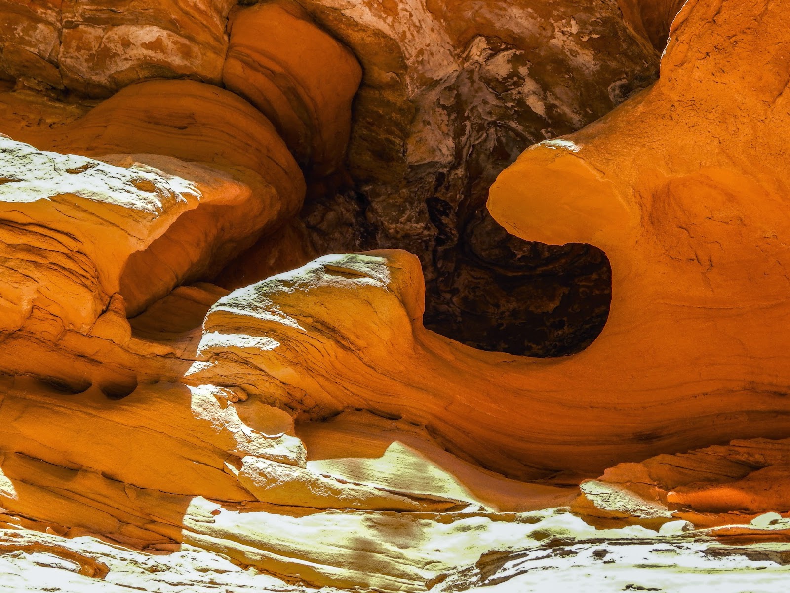 Walking Arizona: Sandstone Swirl