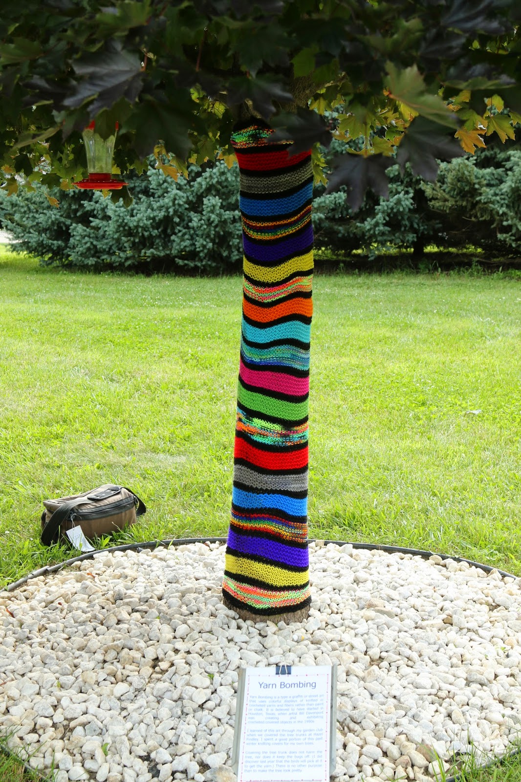 Life: Through the Lens: Yarn Bombing - a New Fascination