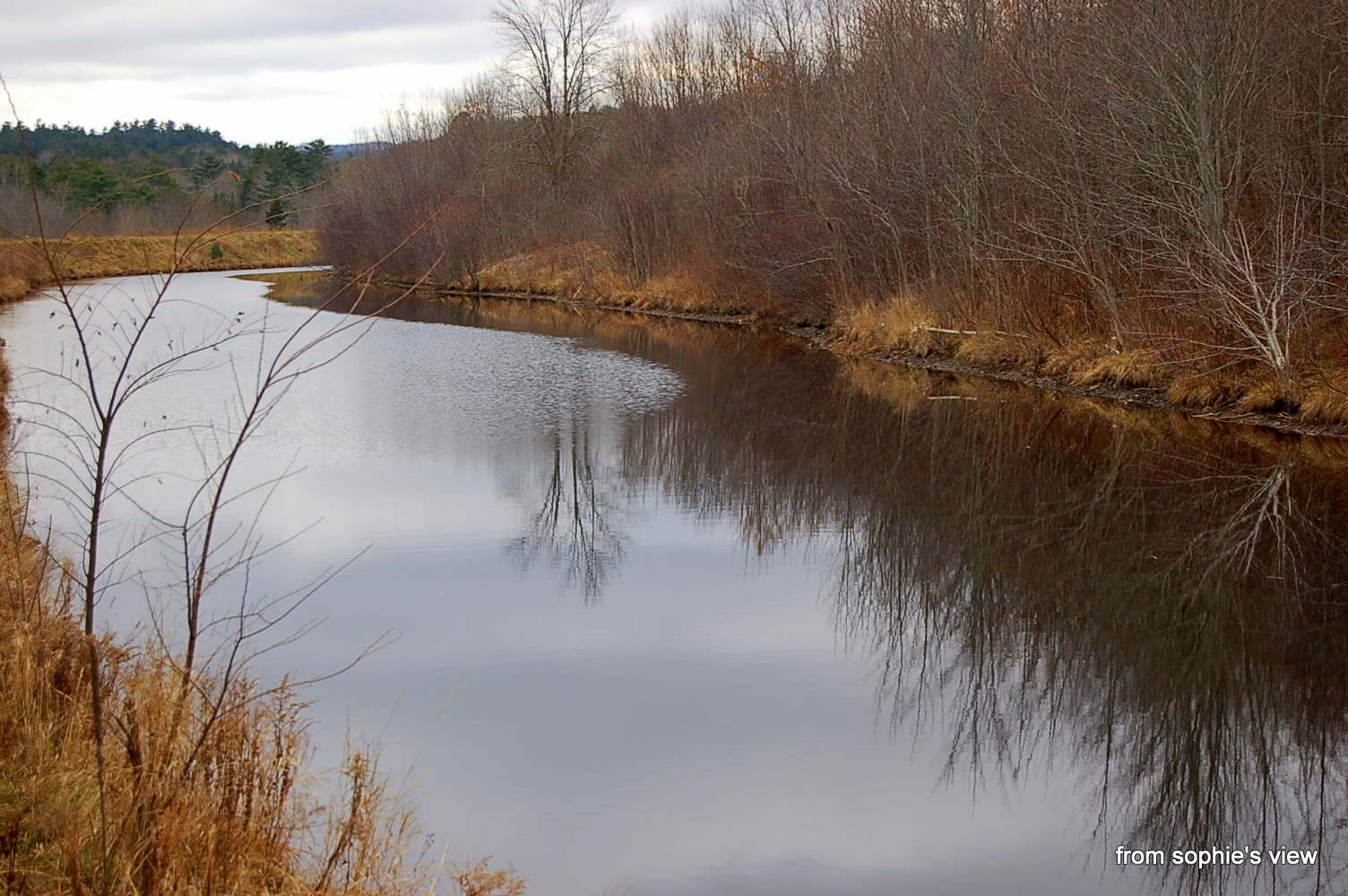 "from sophie's view": Gaspereau Canal & Hemlock Ravine Oasis