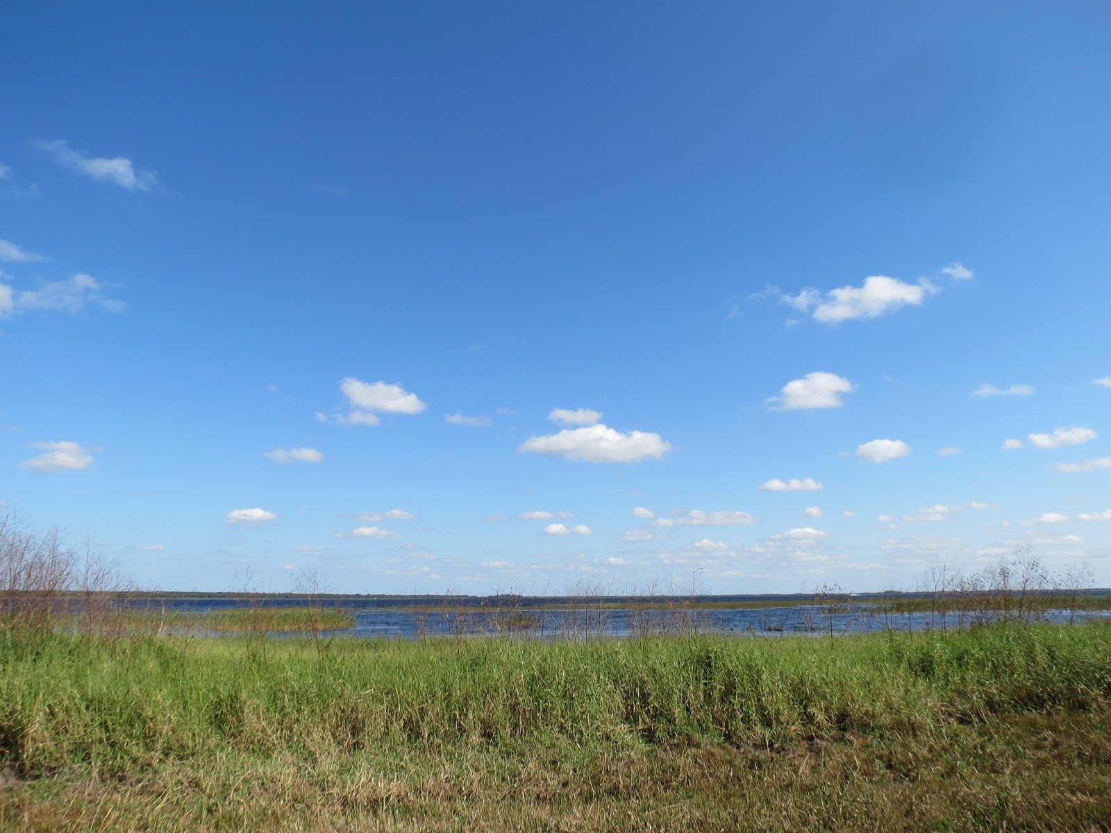 Viewing nature with Eileen: Lake Kissimmee State Park