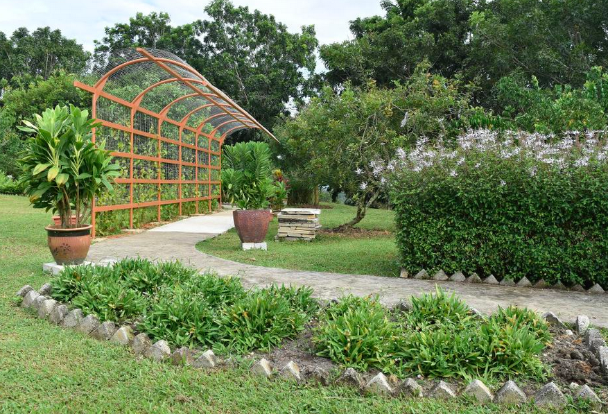 Attractions Area in Selangor: Selangor Fruit Valley (SFV)