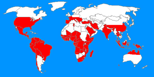 Infection Landscapes: Strongyloidiasis