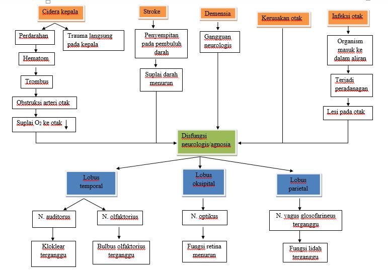 pathway labirinitis