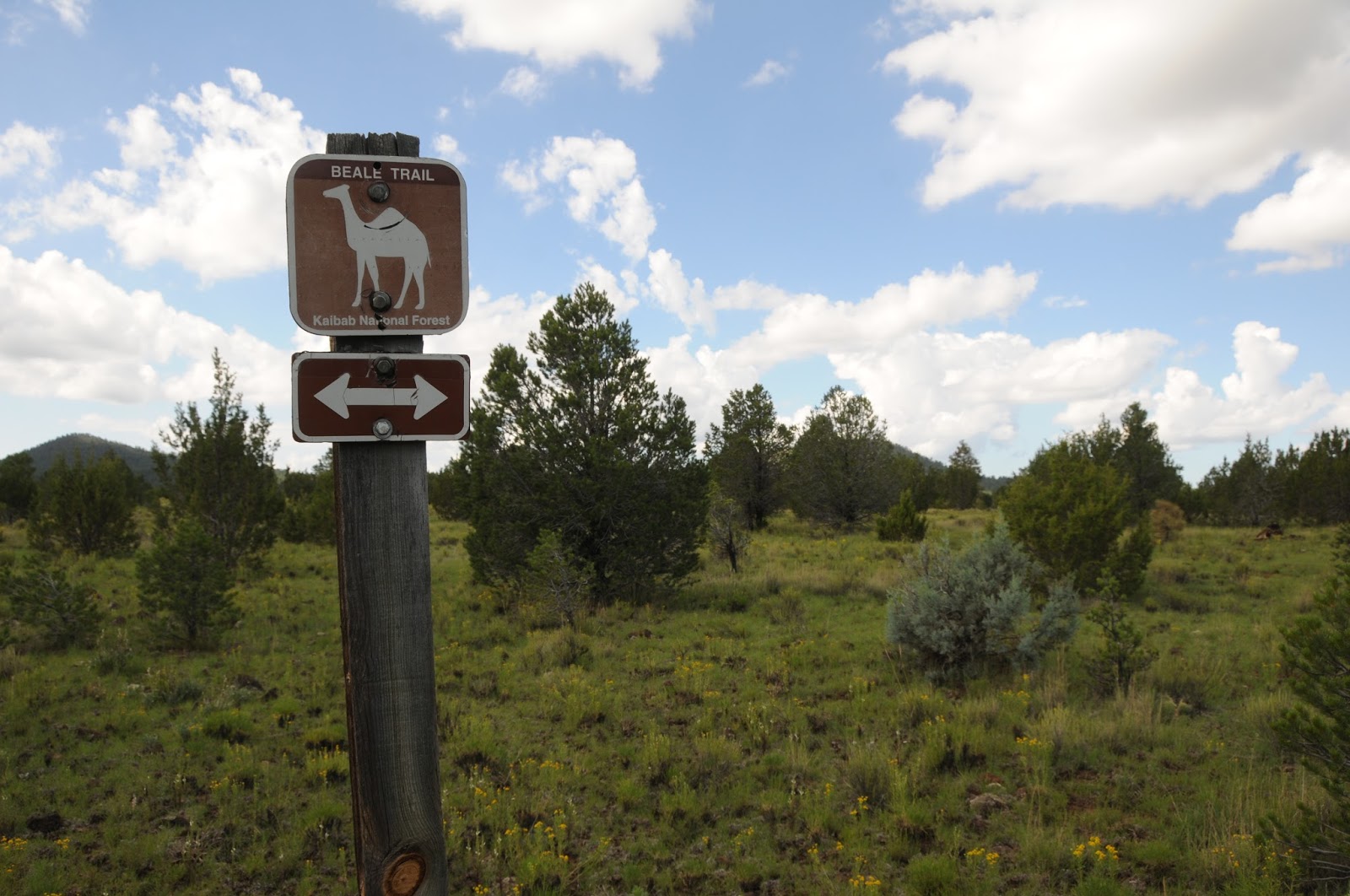 Arizona Hiking: BEALE WAGON ROAD HISTORIC TRAIL