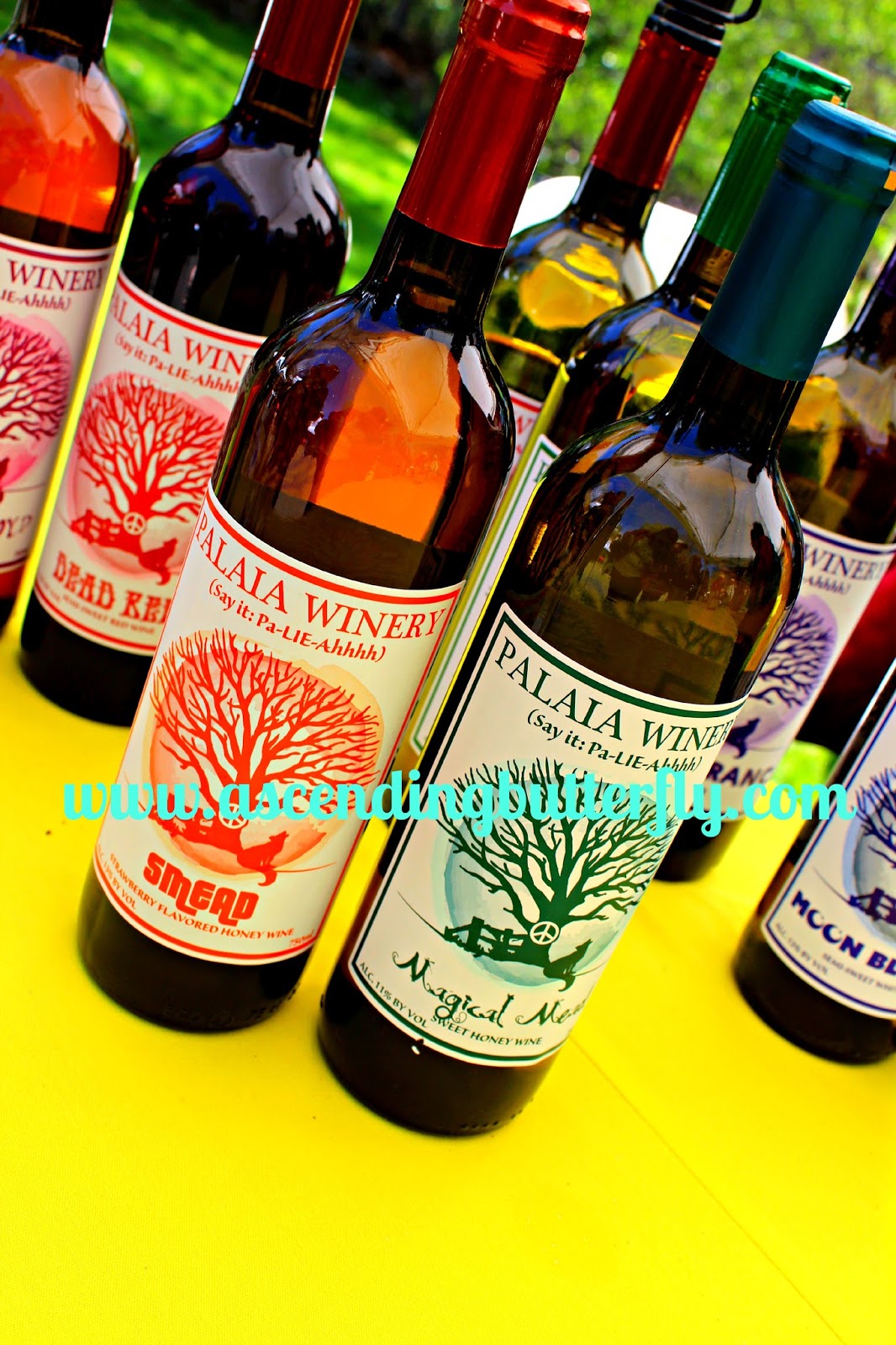 Ascending Butterfly: {#WordlessWednesday} Spirits, #Wine, and Daffodils ...