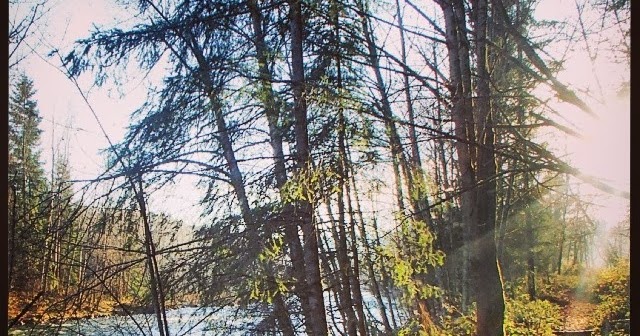 ExtraHyperActive: Local Adventures : Game Farm Park, Auburn, WA ...