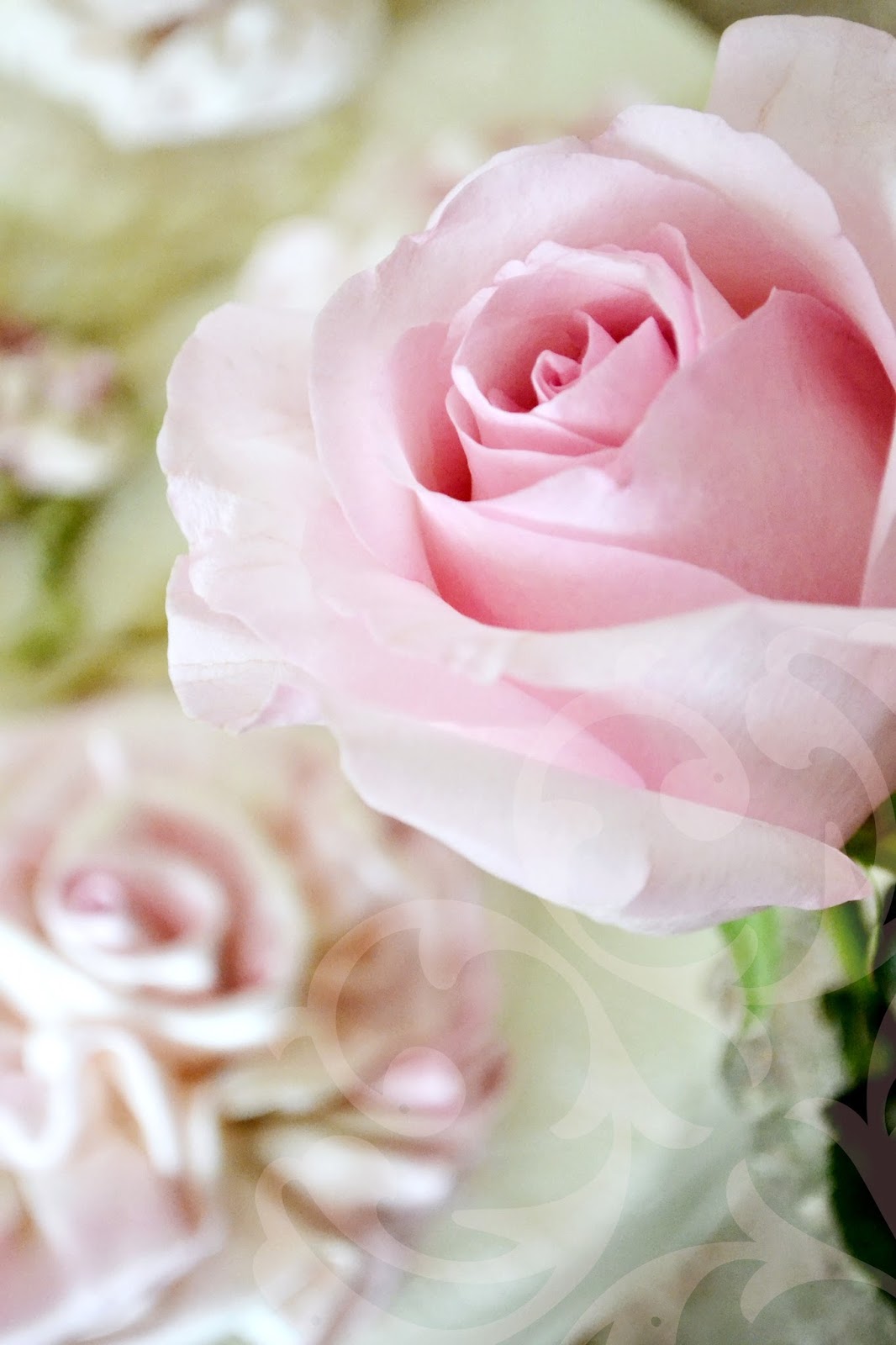 Jennelise: Peonies and Roses