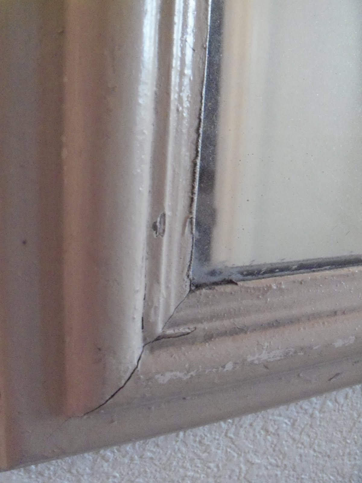 COTTAG3: mirror mirror