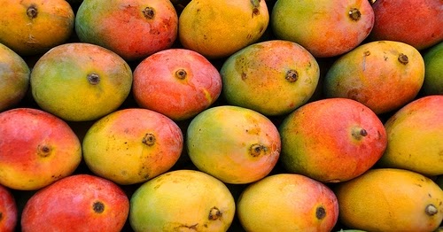 FESTIVALES DE EL SALVADOR: FESTIVAL DEL MANGO