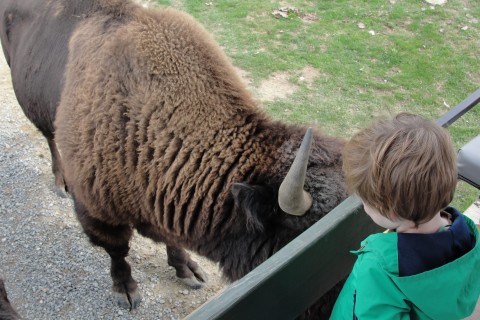 Rolling Ridge Ranch | City Girl, Farm Life